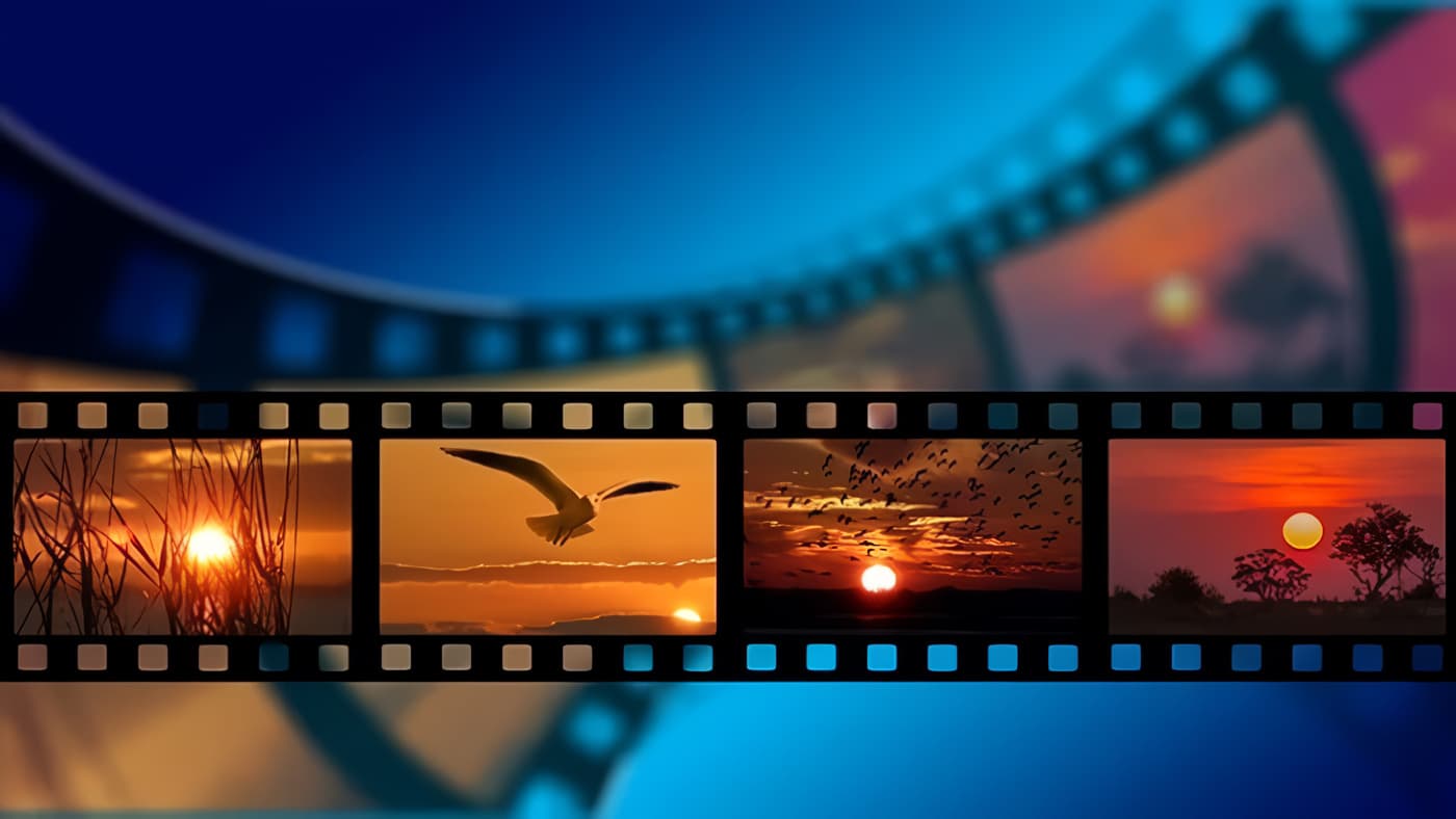 Cómo Aprender a Escribir una Reseña de una Película